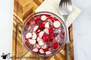 Freezing Radishes Whole Or Cut Up - Get Busy Gardening