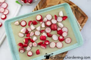 Freezing Radishes Whole Or Cut Up - Get Busy Gardening