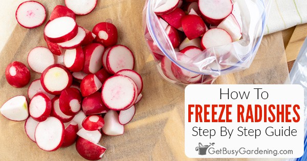 Freezing Radishes Whole Or Cut Up - Get Busy Gardening