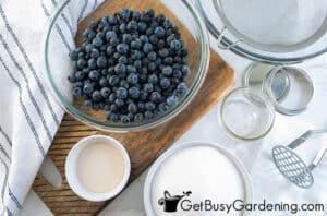 Homemade Blueberry Jelly Recipe (Quick & Easy!)