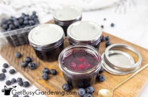 Homemade Blueberry Jelly Recipe (Quick & Easy!)