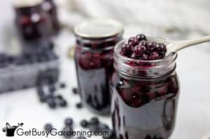 Canning Blueberries With Or Without A Pressure Canner