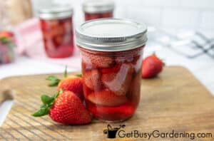 Canning Strawberries - The Complete How To Guide