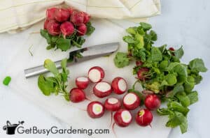 Freezing Radishes Whole Or Cut Up - Get Busy Gardening