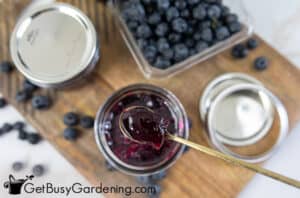Homemade Blueberry Jelly Recipe (Quick & Easy!)