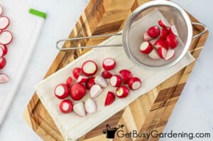 Freezing Radishes Whole Or Cut Up - Get Busy Gardening