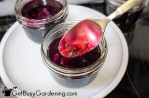 Homemade Blueberry Jelly Recipe (Quick & Easy!)