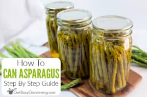 Canning Asparagus: Safe & Easy Recipe - Get Busy Gardening