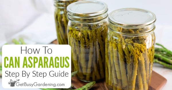 Canning Asparagus: Safe & Easy Recipe - Get Busy Gardening