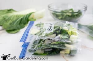 Freezing Bok Choy: The Complete How To Guide