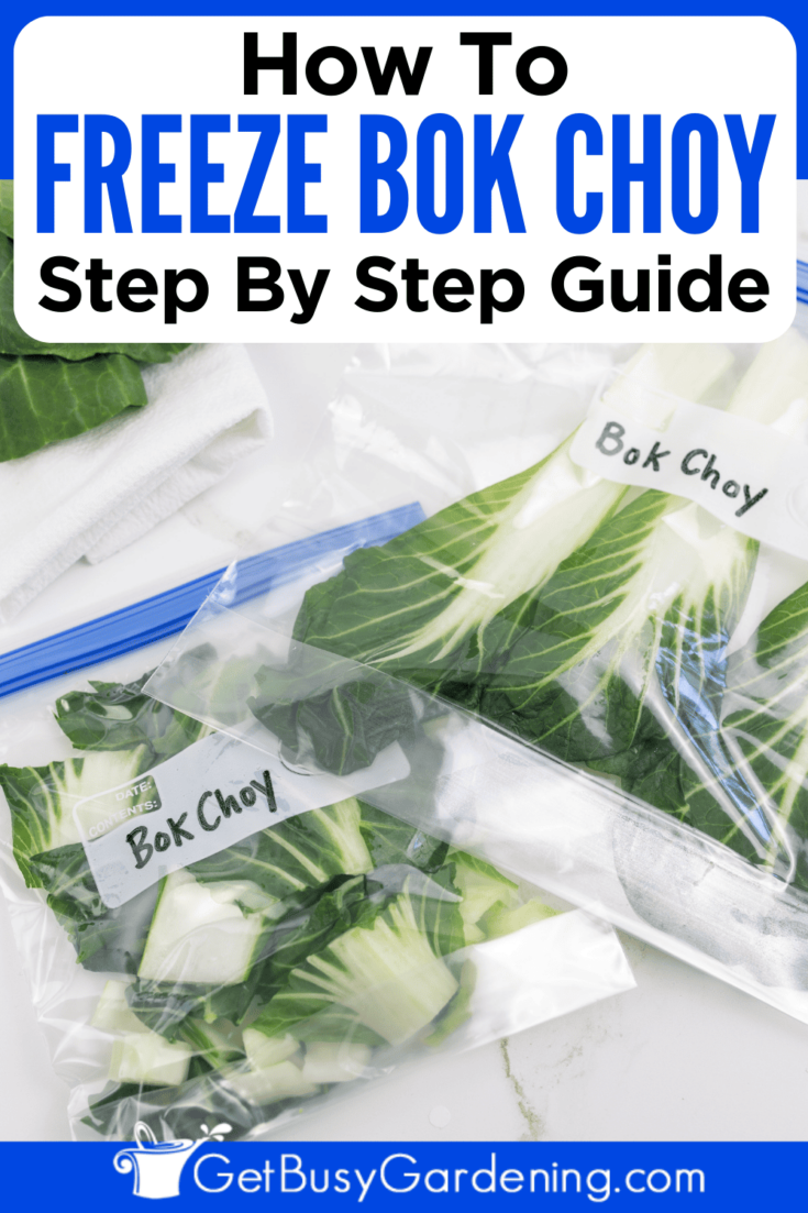 How To Freeze Bok Choy
