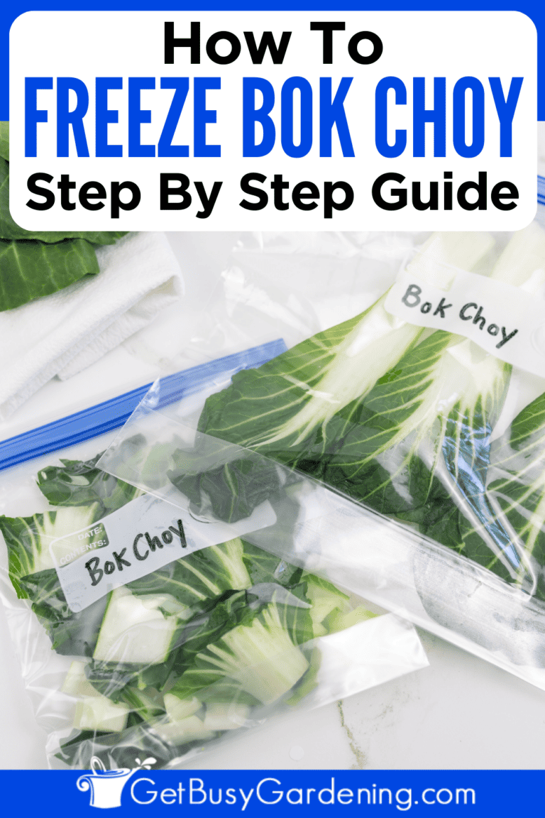 Freezing Bok Choy: The Complete How To Guide