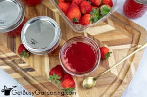 Homemade Strawberry Jelly Recipe (Quick & Easy!)