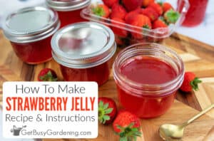 Homemade Strawberry Jelly Recipe (Quick & Easy!)