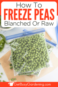 Freezing Peas: The Complete How To Guide - Get Busy Gardening