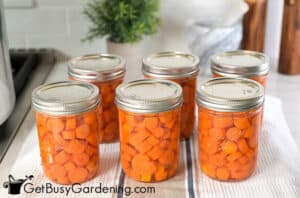 How To Can Carrots At Home - Get Busy Gardening