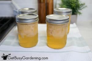 Canning Onions - The Complete How To Guide