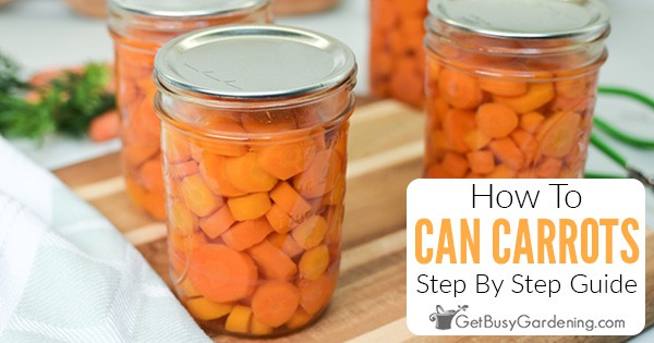 How To Can Carrots At Home - Get Busy Gardening