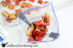 Freezing Rhubarb With Or Without Blanching - Get Busy Gardening