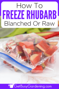 Freezing Rhubarb With Or Without Blanching - Get Busy Gardening
