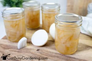 Canning Onions - The Complete How To Guide