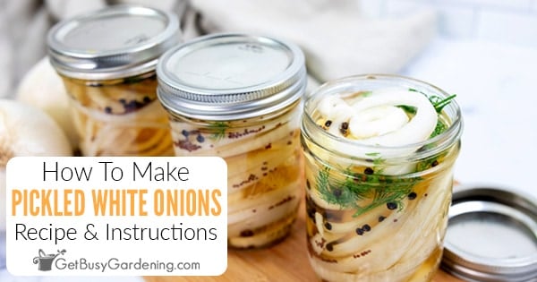 Pickled White Onions Recipe (Quick & Easy!)