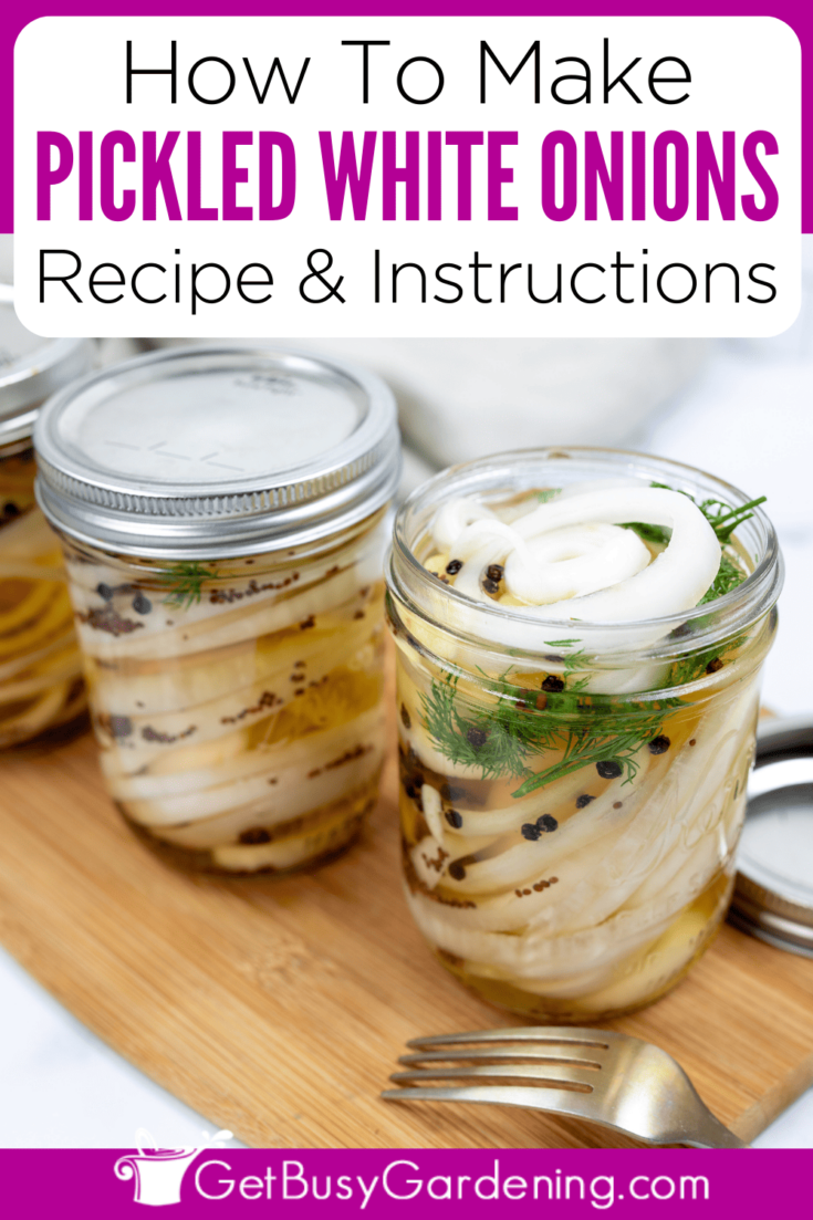 Pickled White Onions Recipe (Quick & Easy!)