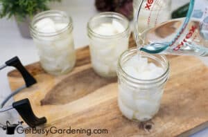 Canning Onions - The Complete How To Guide