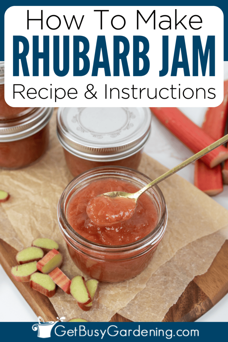 Homemade Rhubarb Jam Recipe (Quick & Easy!)