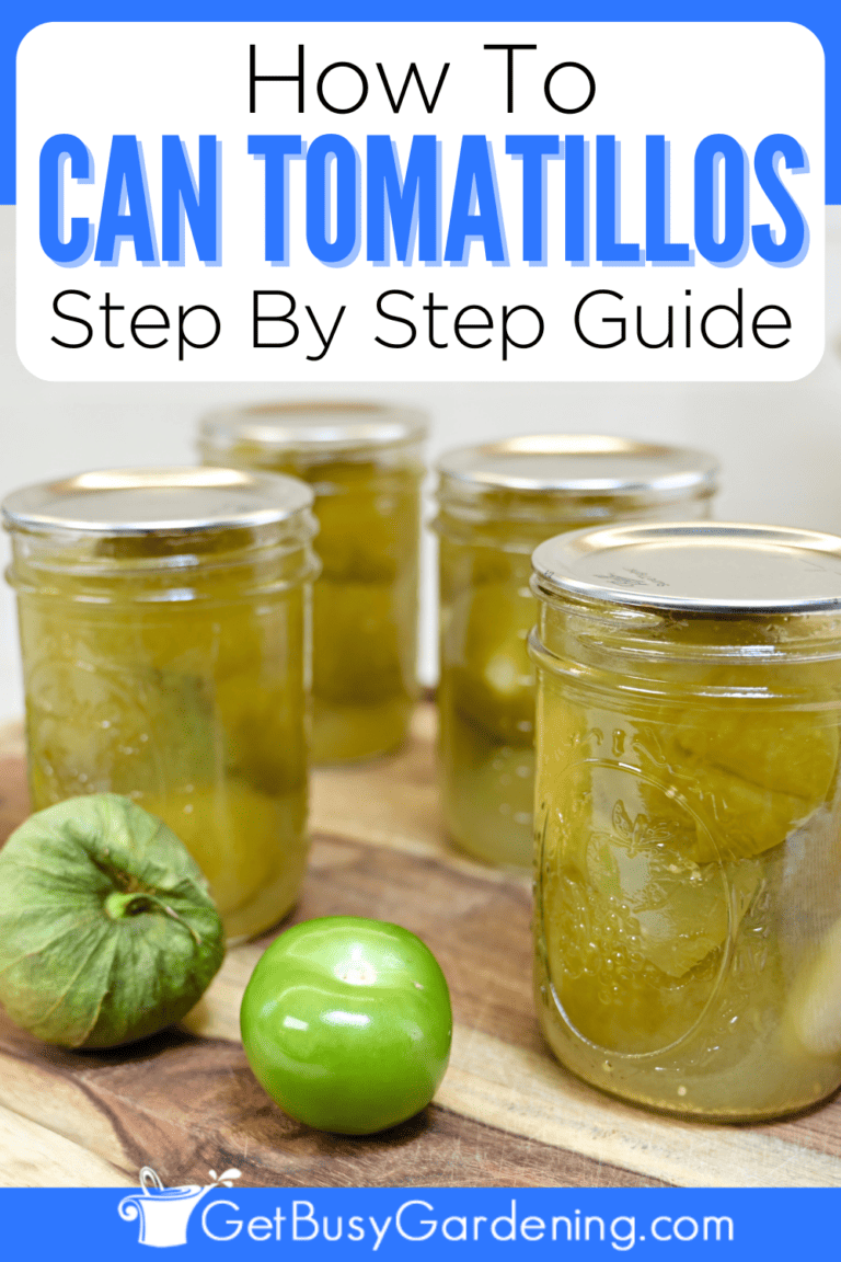 Canning Tomatillos With Or Without A Pressure Canner - Get Busy Gardening