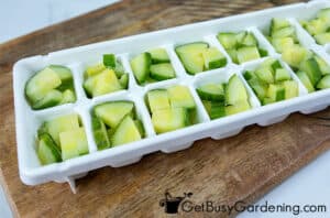Freezing Cucumbers: The Complete How To Guide - Get Busy Gardening