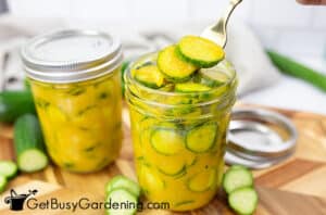 Mustard Pickles Recipe - Quick, Easy & Delicious - Get Busy Gardening