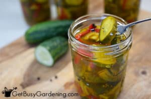 Old Fashioned Sweet Pickle Recipe (Quick & Simple) - Get Busy Gardening