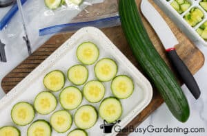 Freezing Cucumbers: The Complete How To Guide - Get Busy Gardening