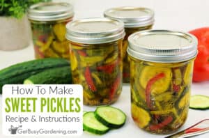 Old Fashioned Sweet Pickle Recipe (Quick & Simple) - Get Busy Gardening
