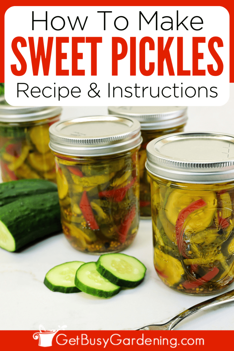 Old Fashioned Sweet Pickle Recipe (Quick & Simple) - Get Busy Gardening