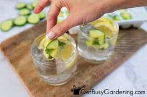 Freezing Cucumbers: The Complete How To Guide - Get Busy Gardening