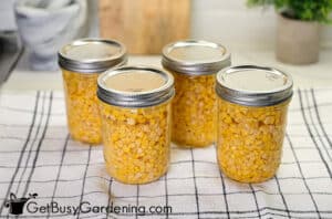 Canning Corn - The Complete How To Guide - Get Busy Gardening