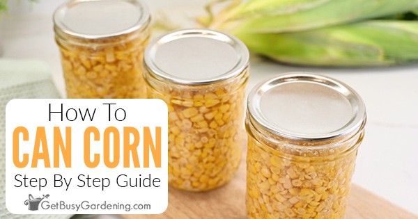 Canning Corn - The Complete How To Guide - Get Busy Gardening
