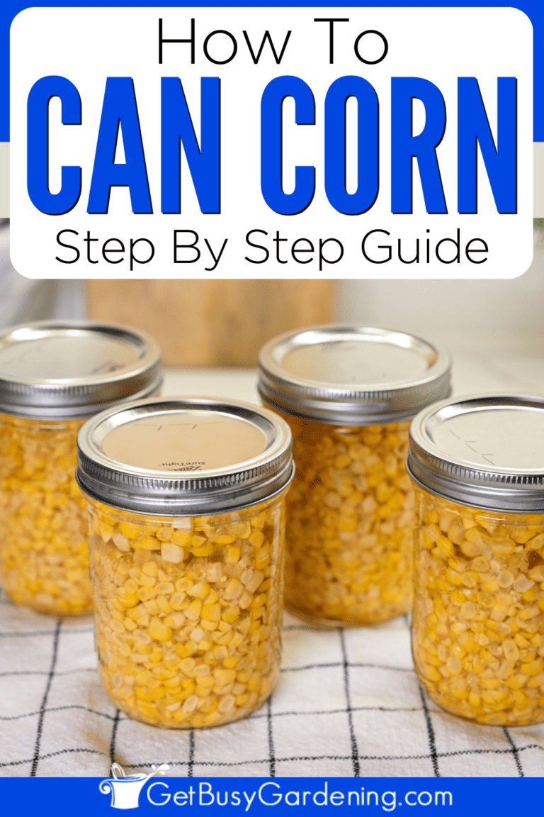 Canning Corn - The Complete How To Guide - Get Busy Gardening