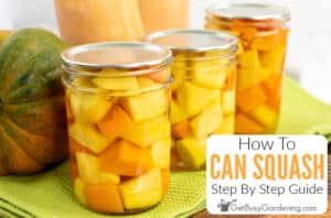 Canning Squash - The Complete How To Guide - Get Busy Gardening