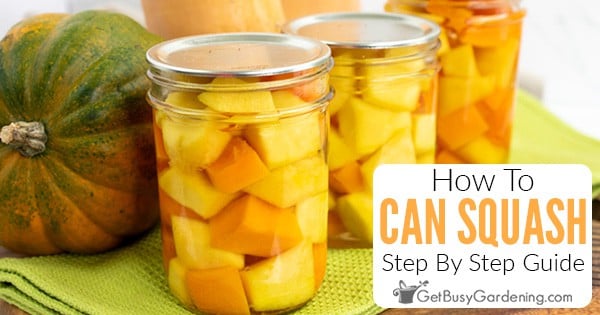 Canning Squash - The Complete How To Guide - Get Busy Gardening