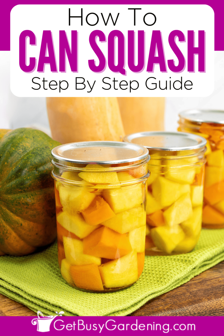 Canning Squash - The Complete How To Guide - Get Busy Gardening
