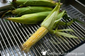 Canning Corn - The Complete How To Guide - Get Busy Gardening