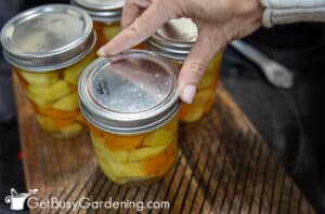 Canning Squash - The Complete How To Guide - Get Busy Gardening