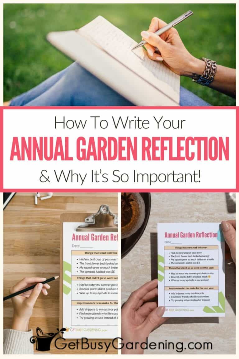 Writing Your Garden Reflection - Get Busy Gardening